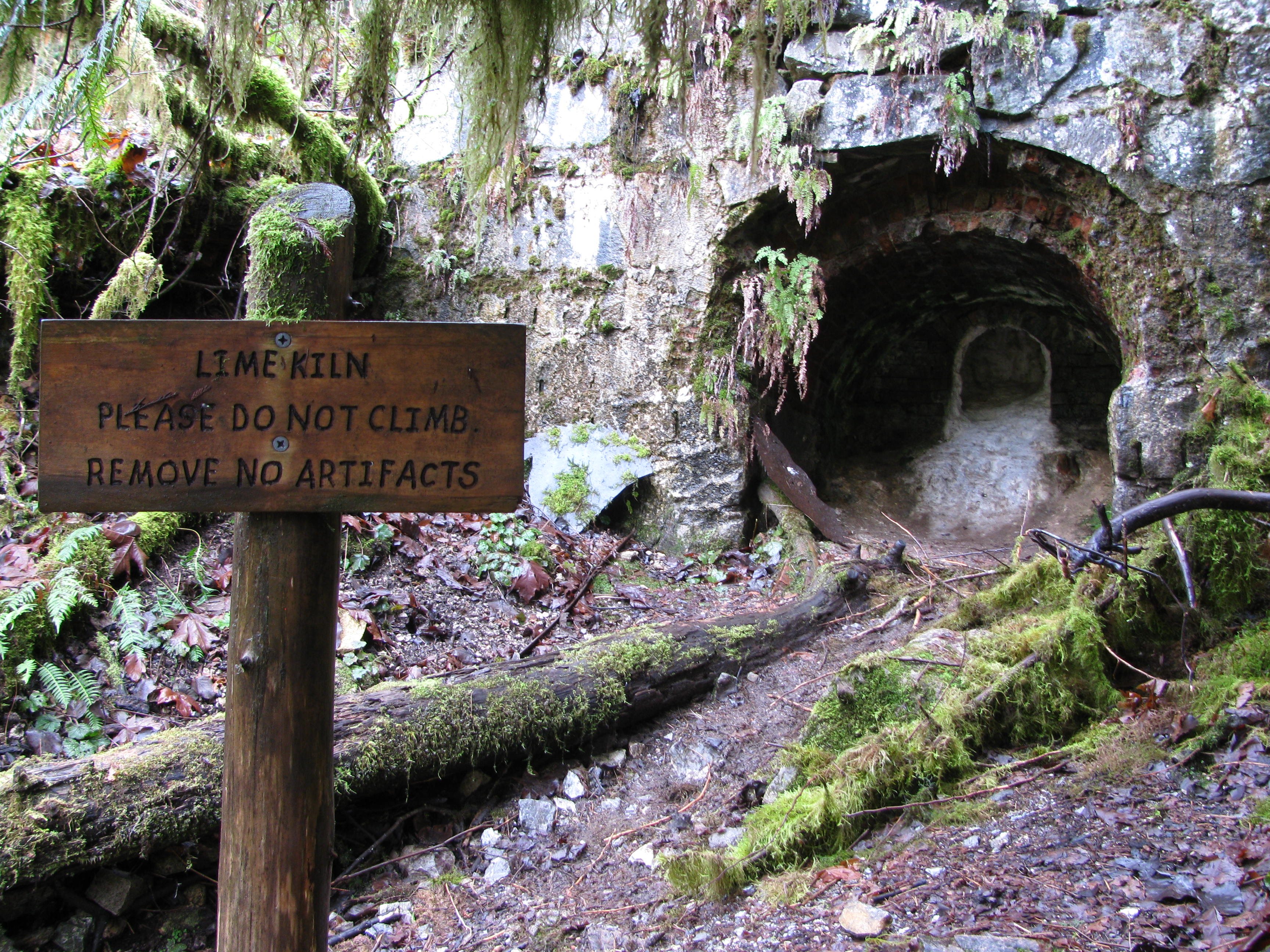 Lime Kiln Trail, WA • Hike