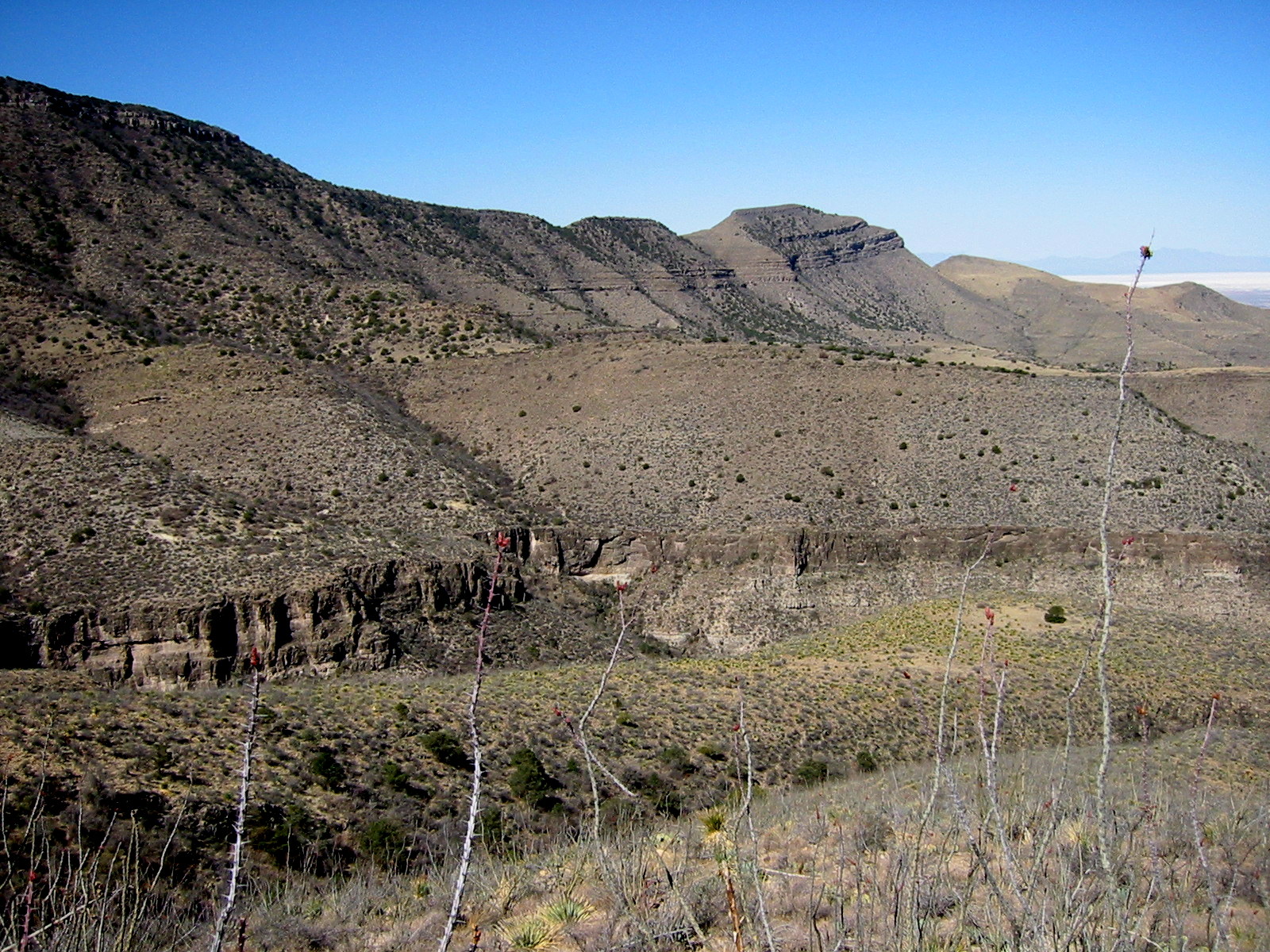 Alamo Canyon Trail #104, NM • Hike