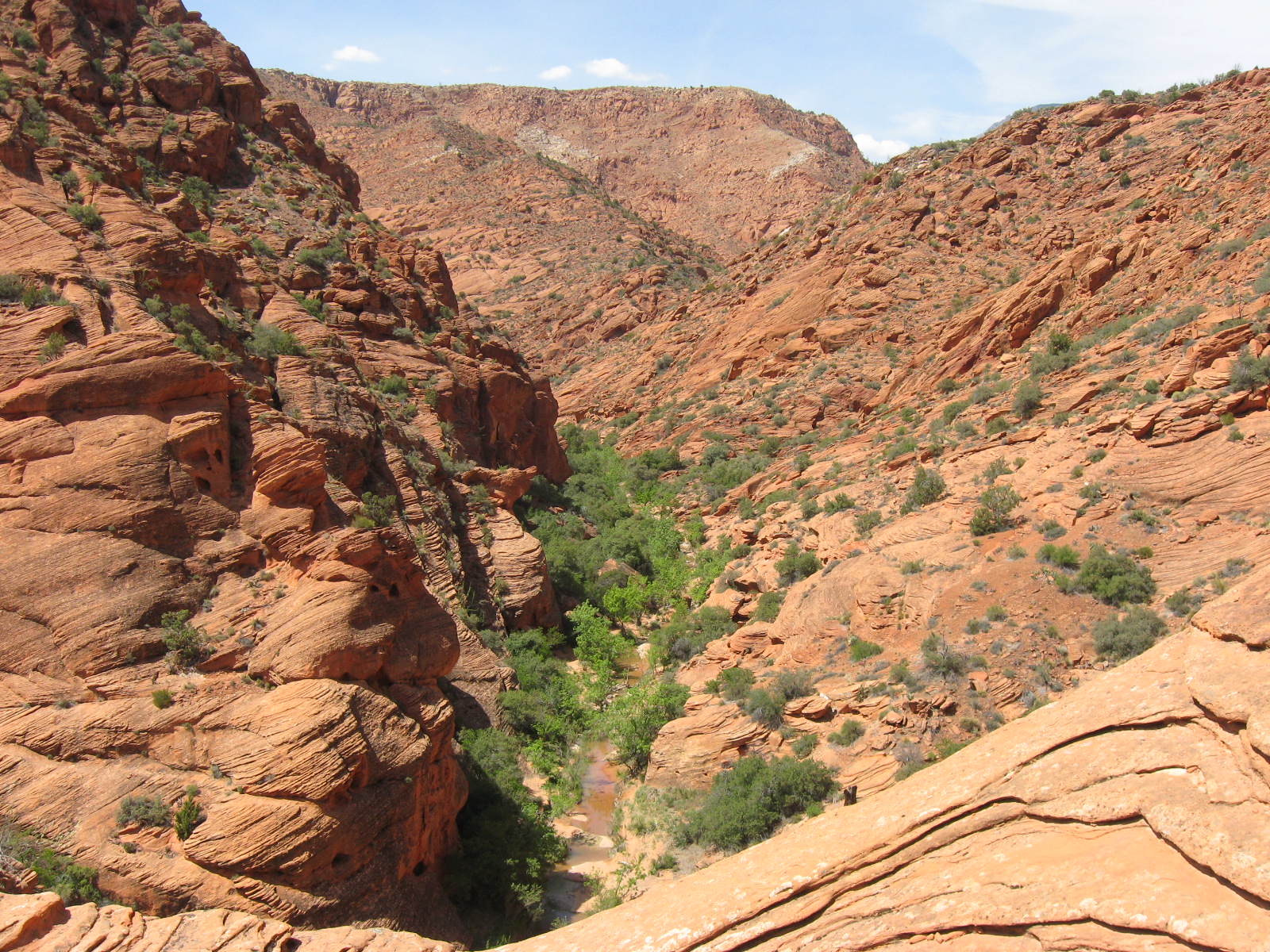 Red Reef Trail, UT • Hike