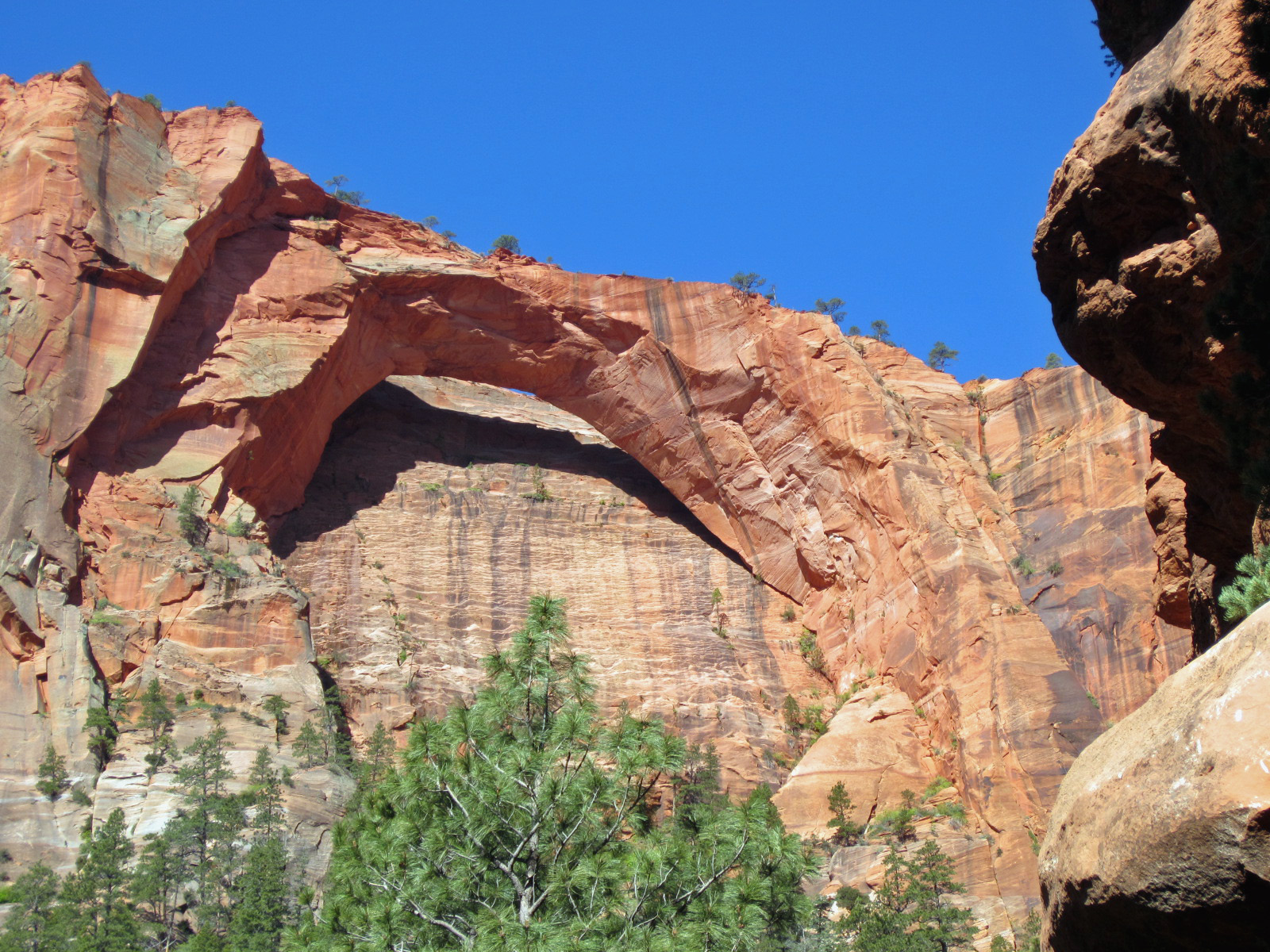 Hop Valley and Kolob Arch Trail, UT • Hike