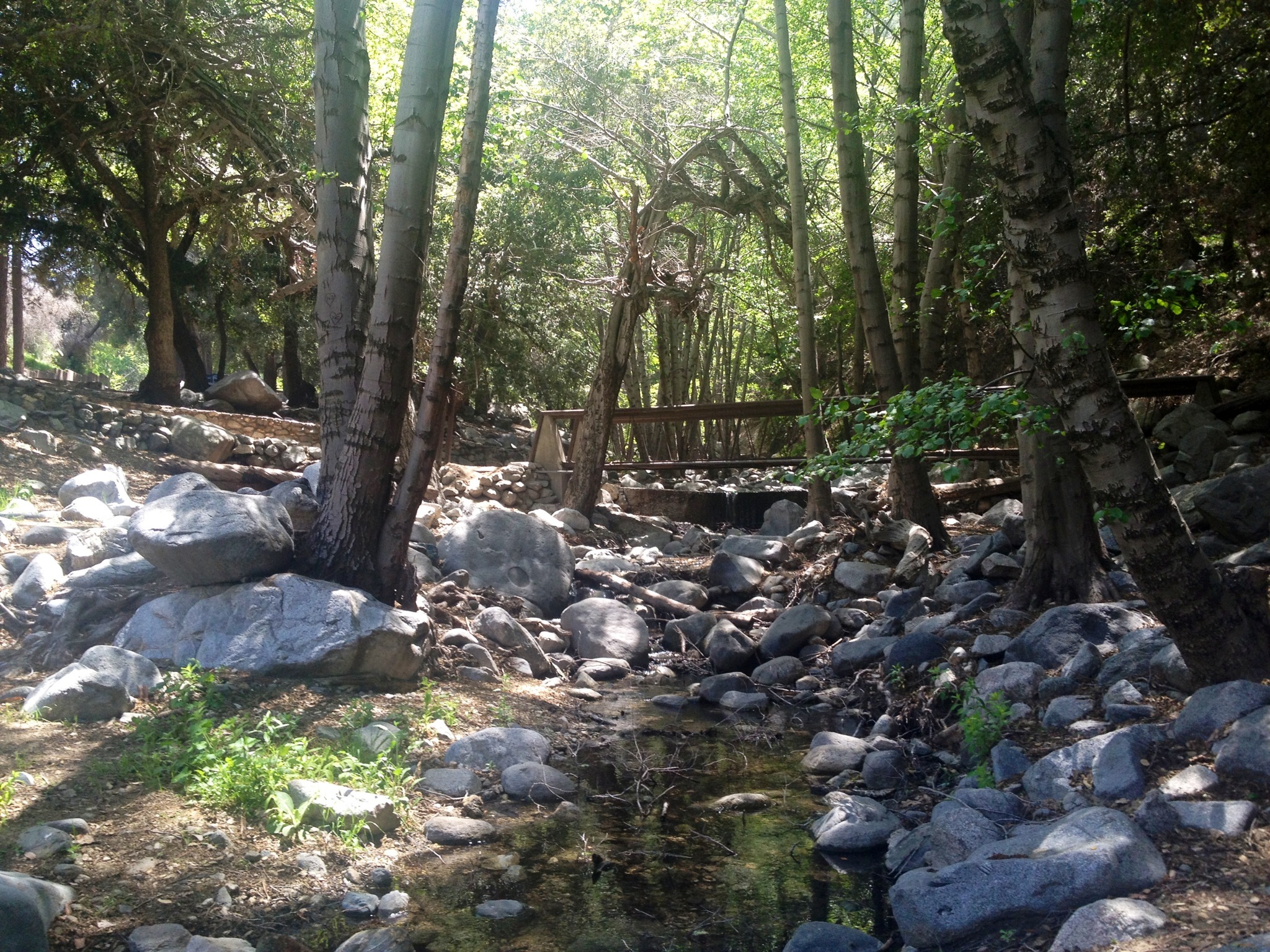 Switzer Falls Trail, CA • Hike