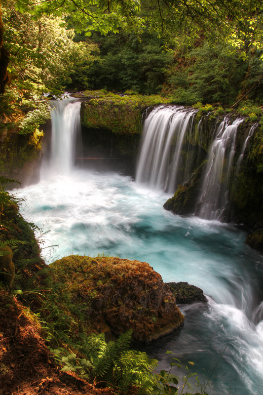 Spirit Falls, WA • Hike