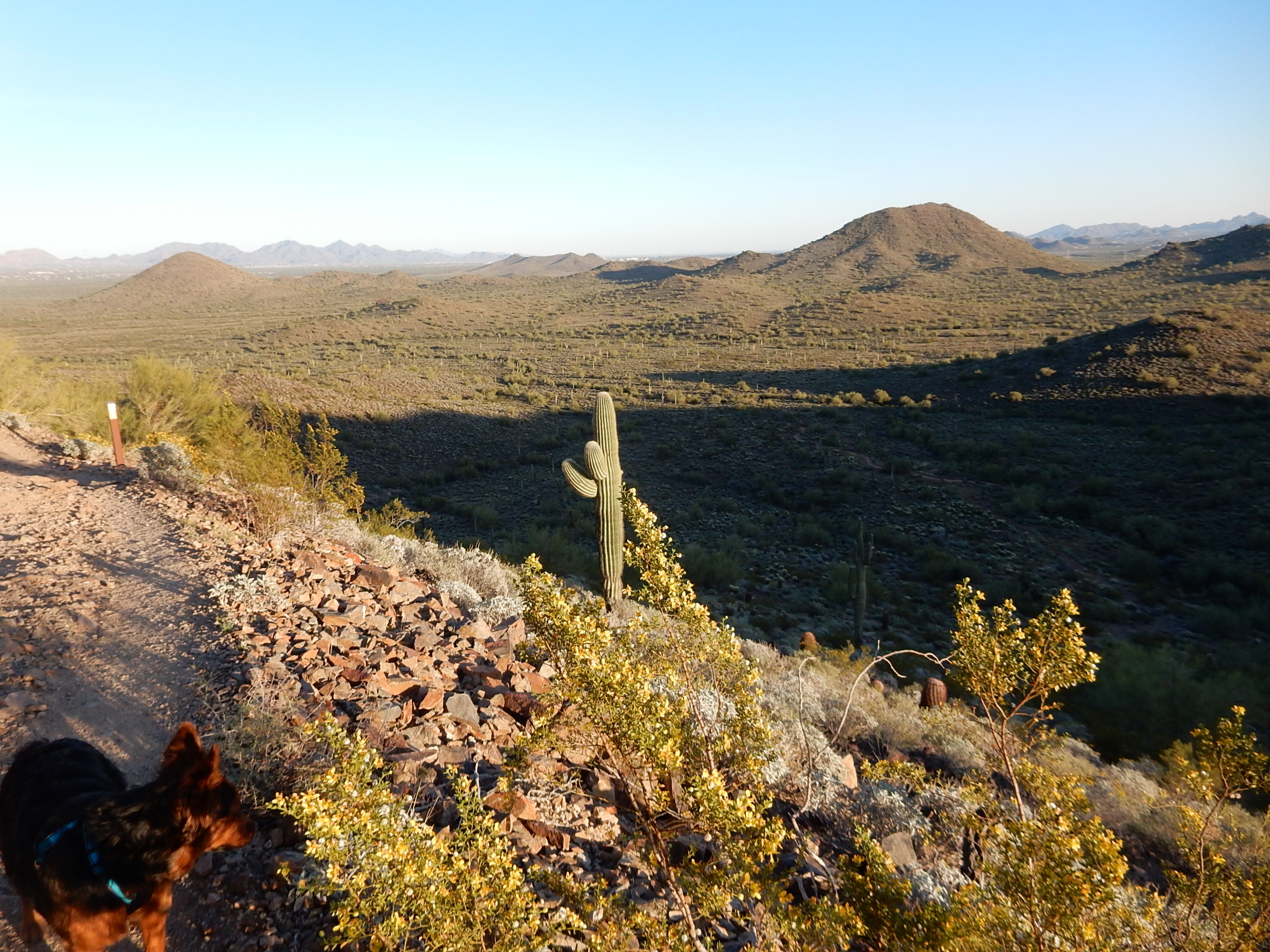 Dixie Mountain Loop - Sonoran Preserve, AZ | HikeArizona