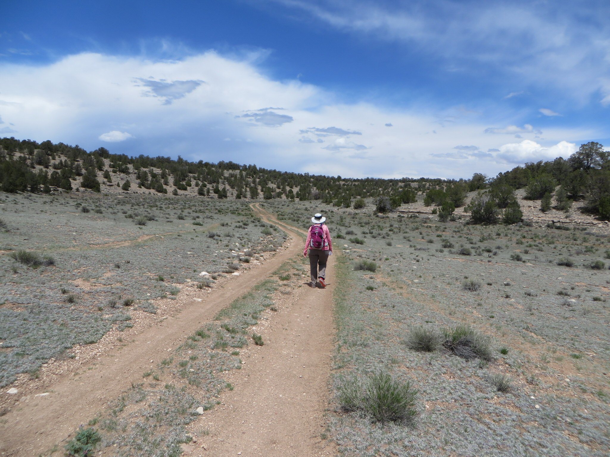 Babbitt Ranch - AZT #35, AZ | HikeArizona