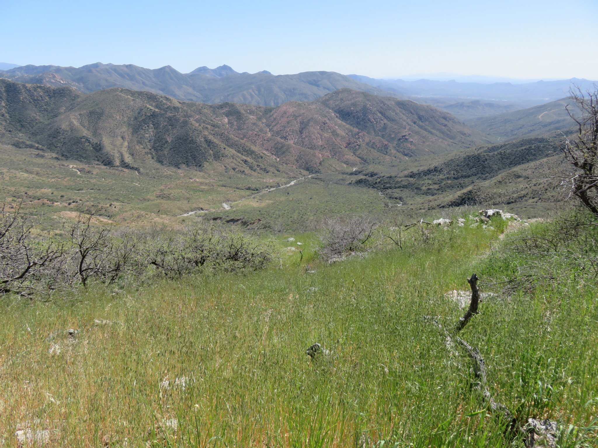 Reavis Trail Canyon #509, AZ | HikeArizona