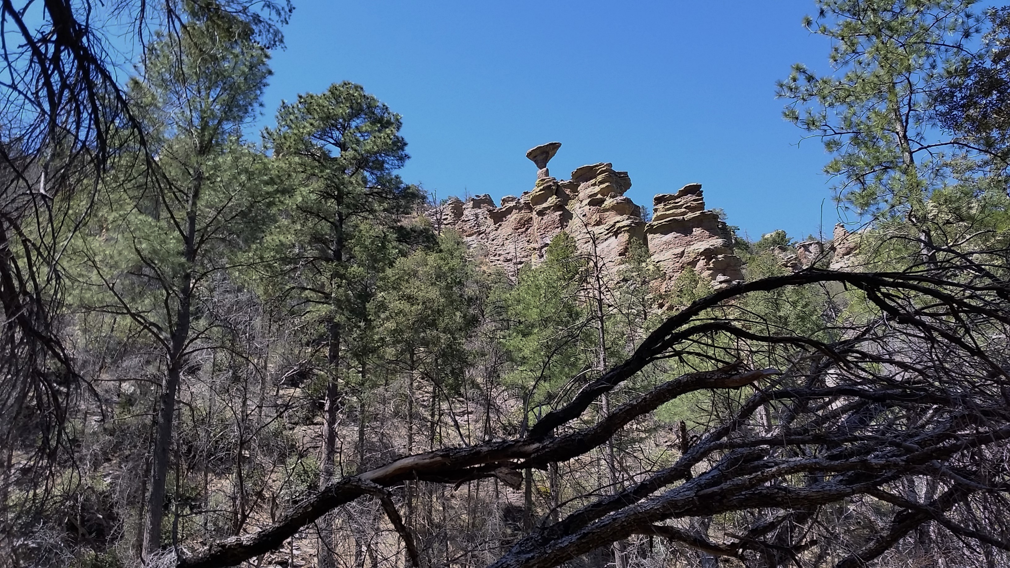 Mushroom Rock Trail, AZ | HikeArizona