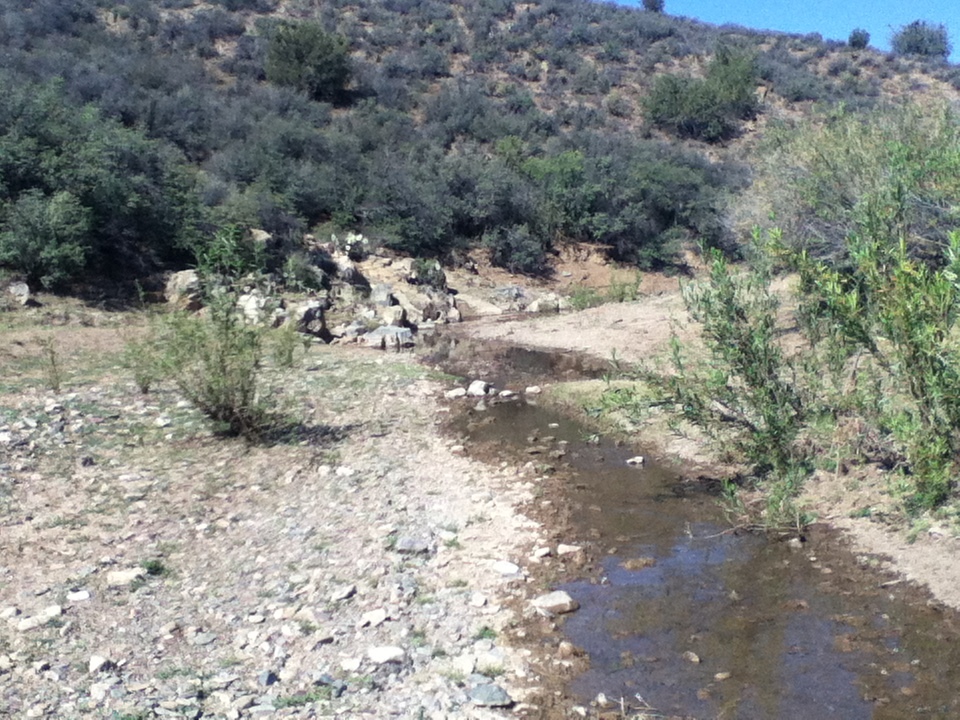 Big Bug TH to Farm Rd BCT, AZ | HikeArizona