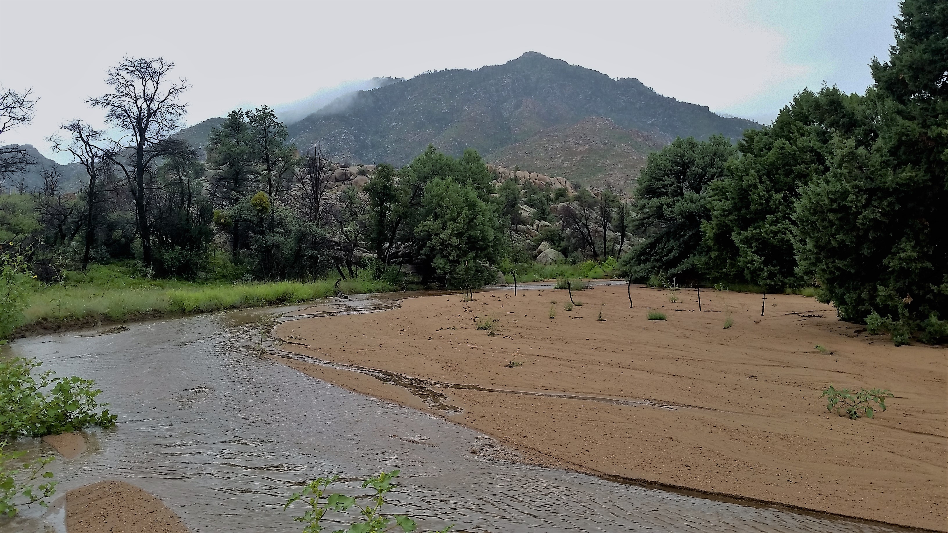 Tin Trough Springs Trail #308, AZ | HikeArizona