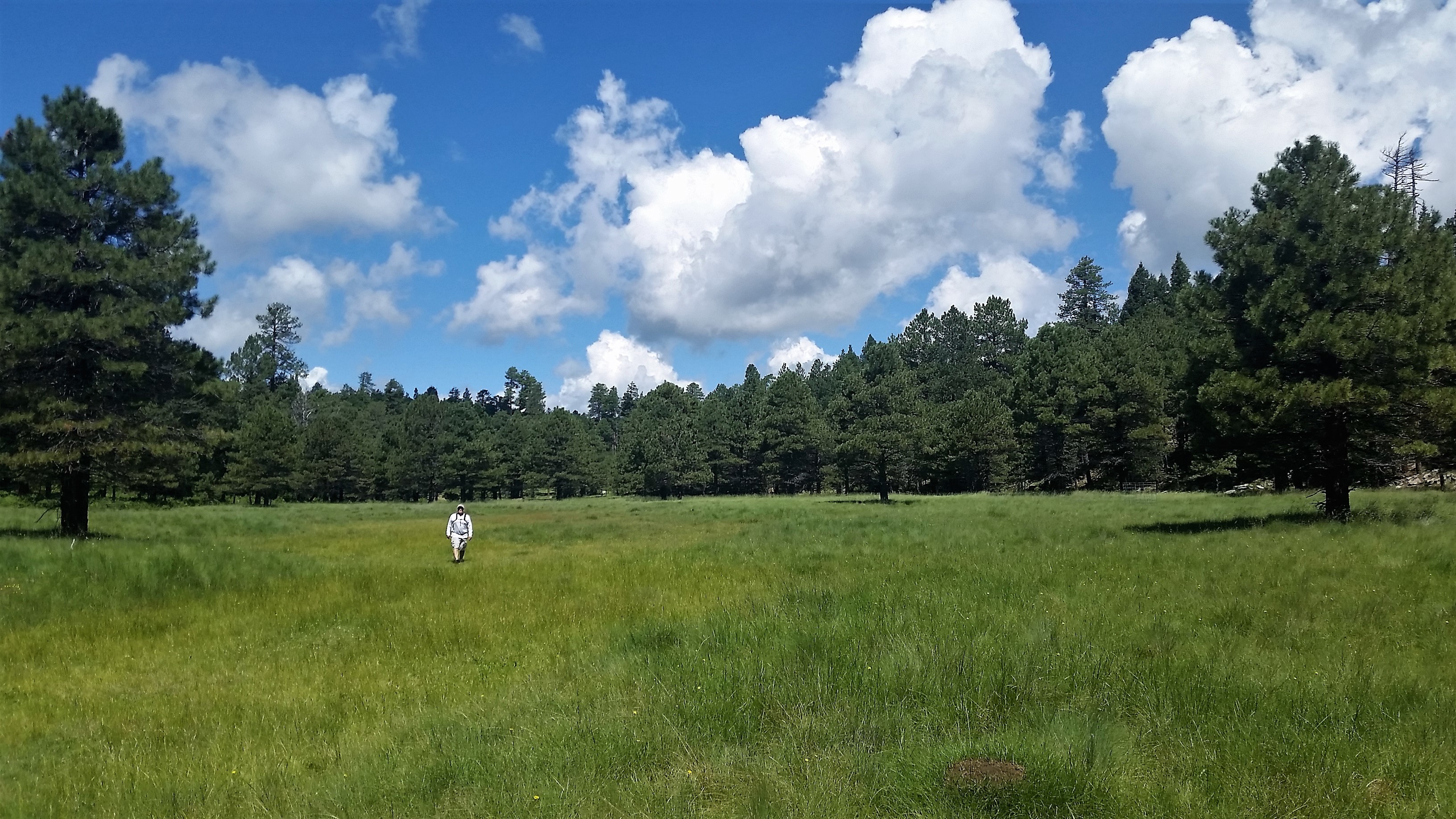 Boulder Hop Trail #413, AZ | HikeArizona