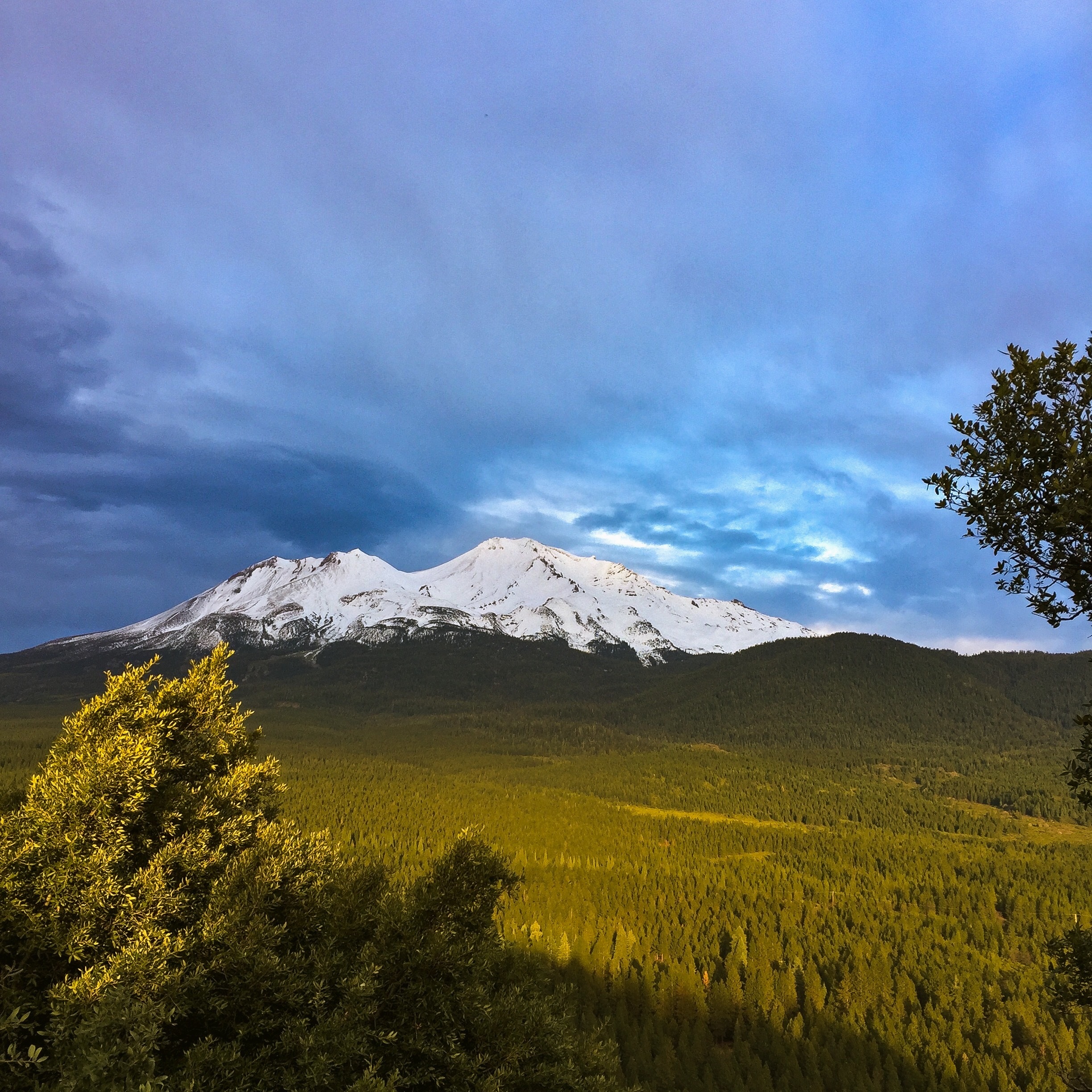 Spring Hill Trail - Mount Shasta, CA • Hike