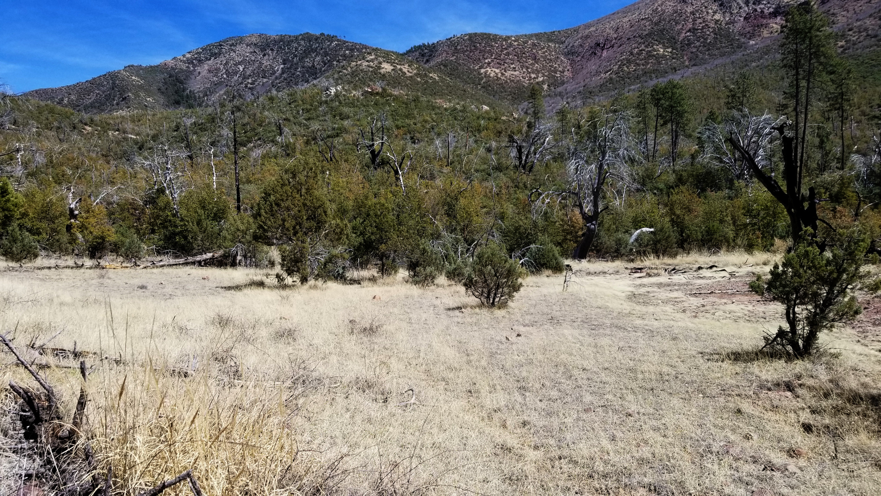 Mazatzal Divide to The Park, AZ | HikeArizona