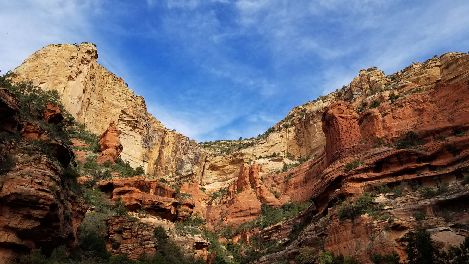 Fay Canyon Trail #53, AZ | HikeArizona
