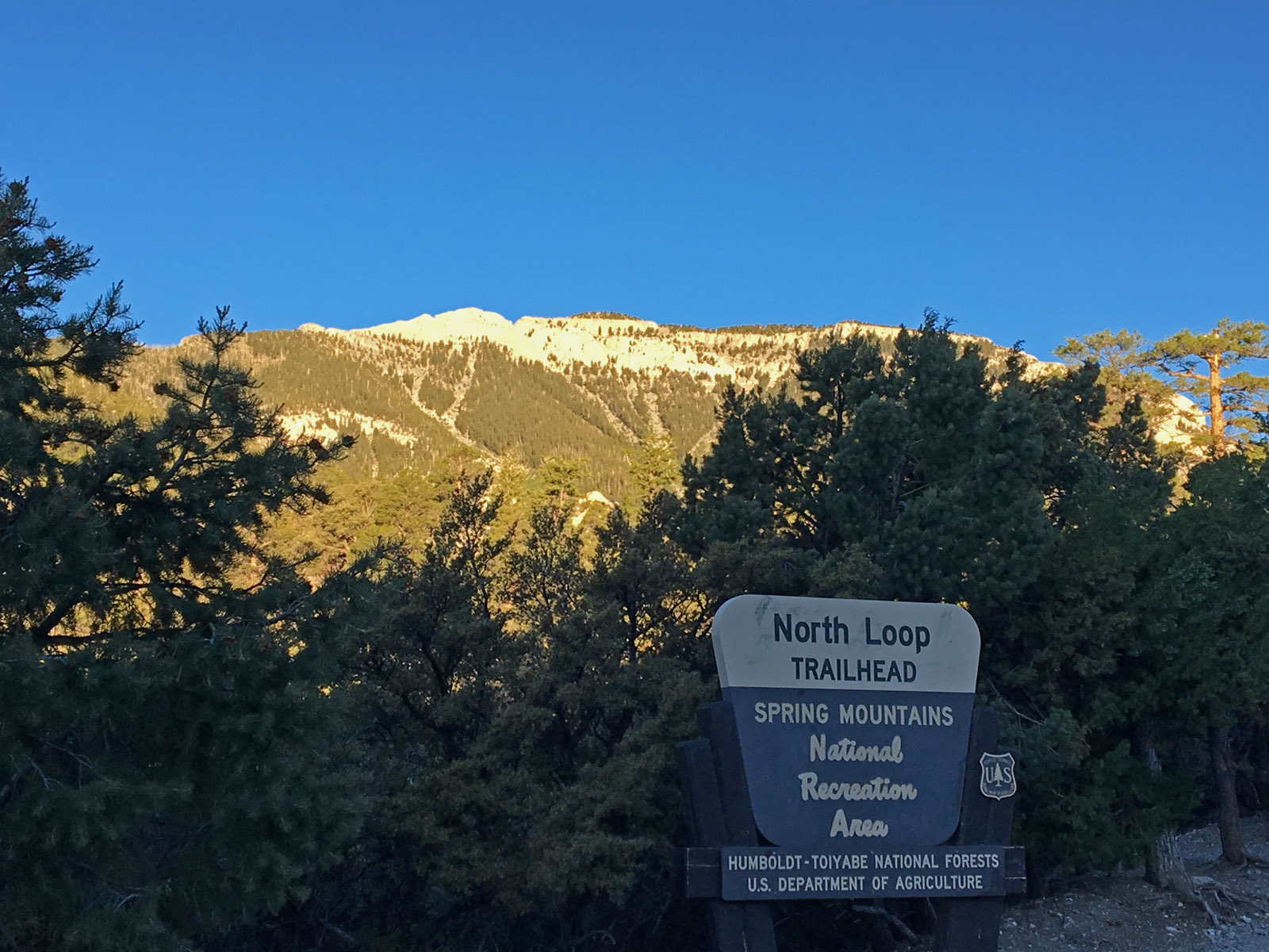 Mummy Mountain - Mt Charleston Wilderness, NV • Hike