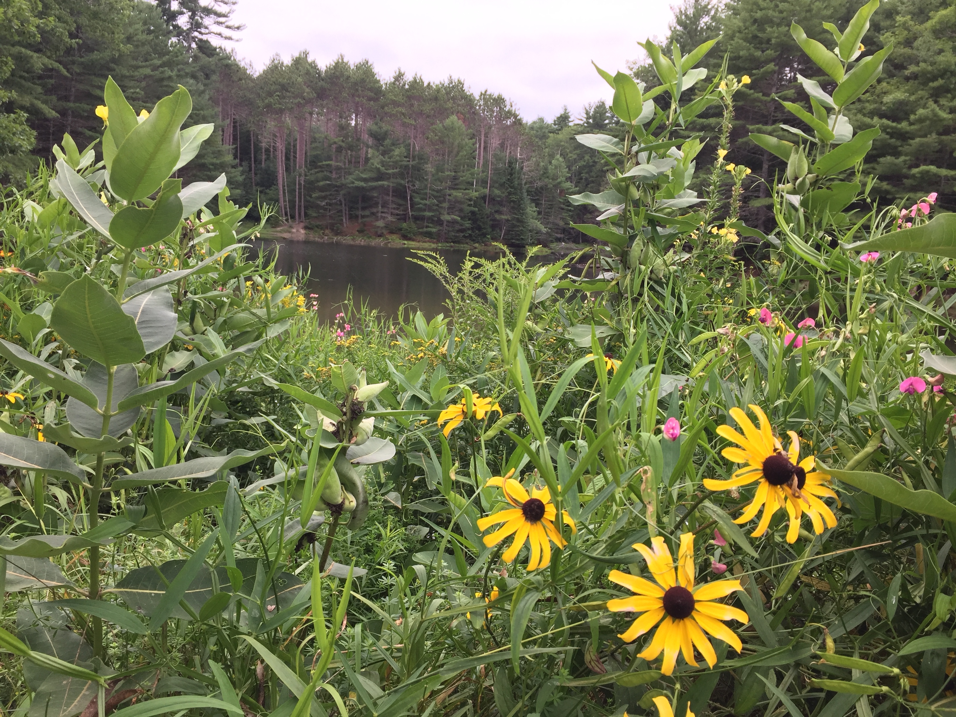Dodge Point Trail, ME • Hike