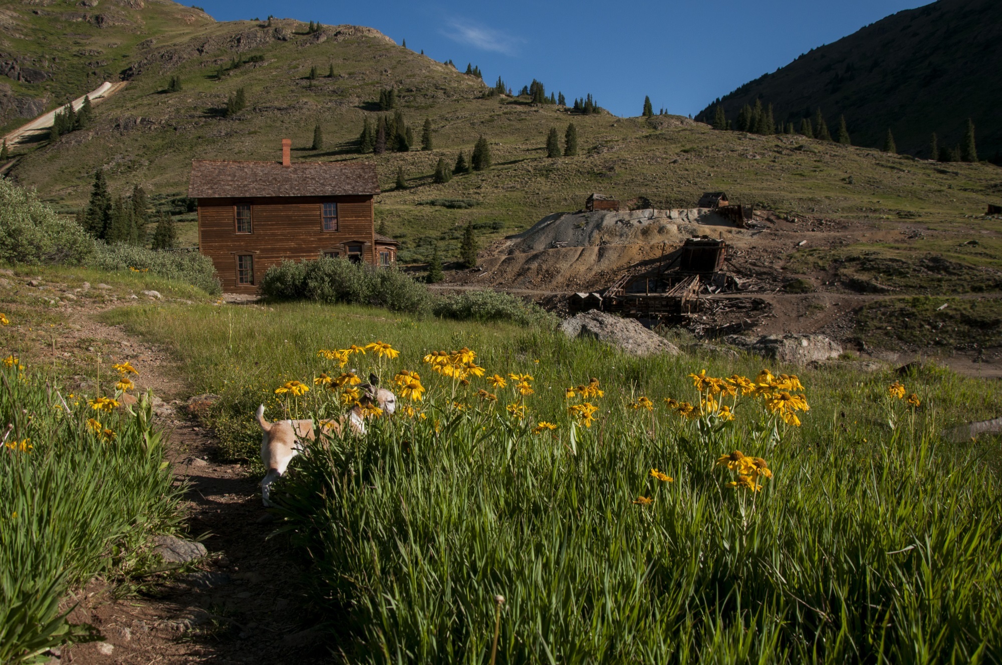 Animas Forks Ghost Town, CO • 4x4 Trip