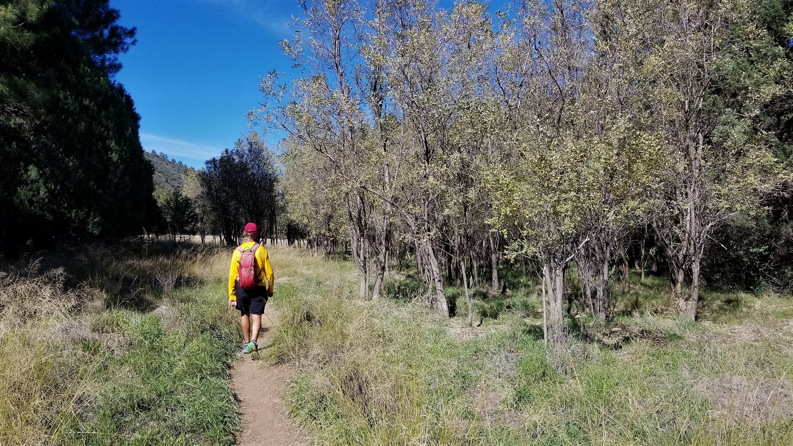 Reavis Ranch Trail #109, AZ | HikeArizona