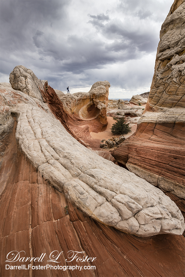 White Pocket, AZ | HikeArizona