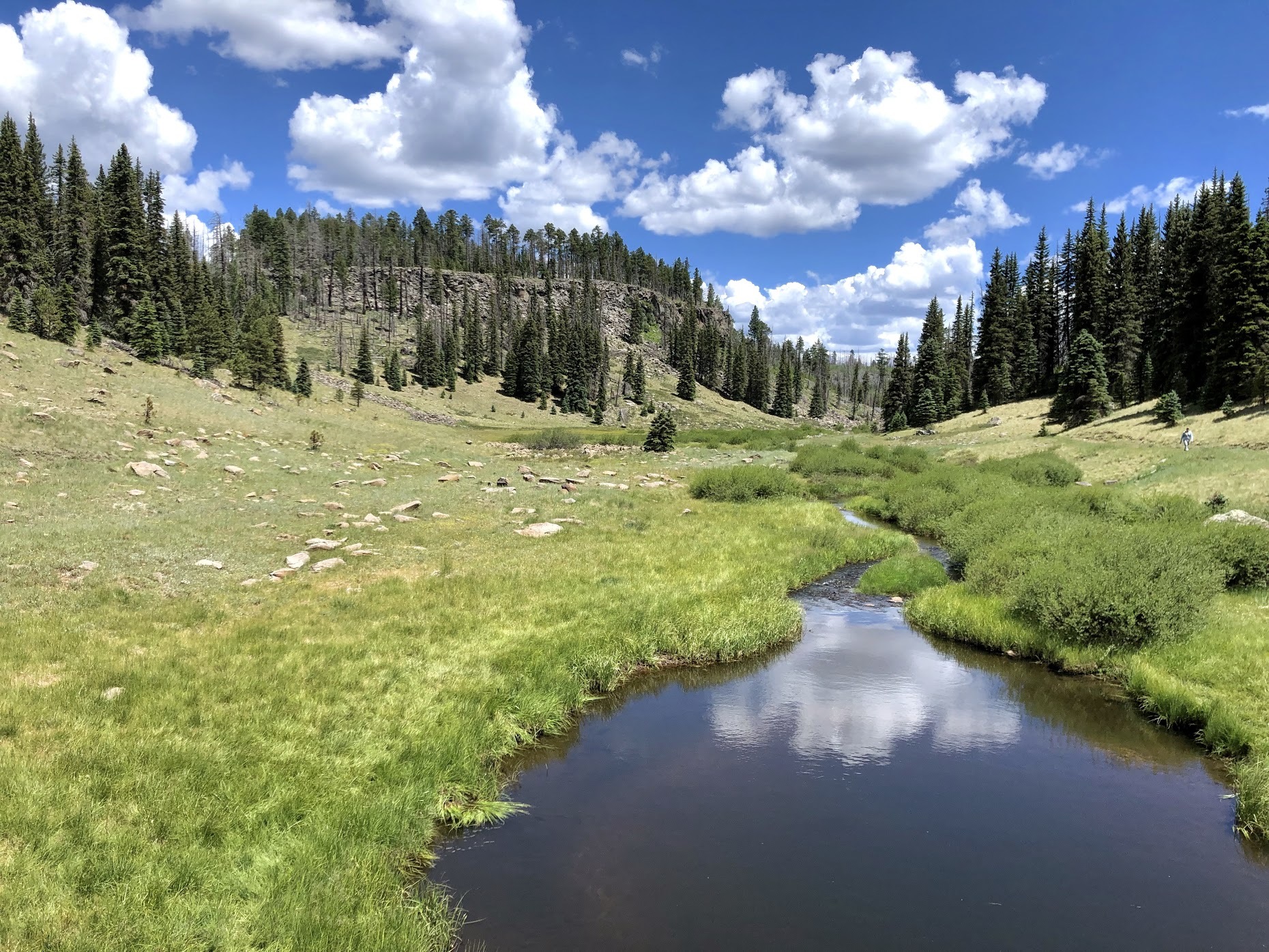 Thompson Trail #629, AZ | HikeArizona