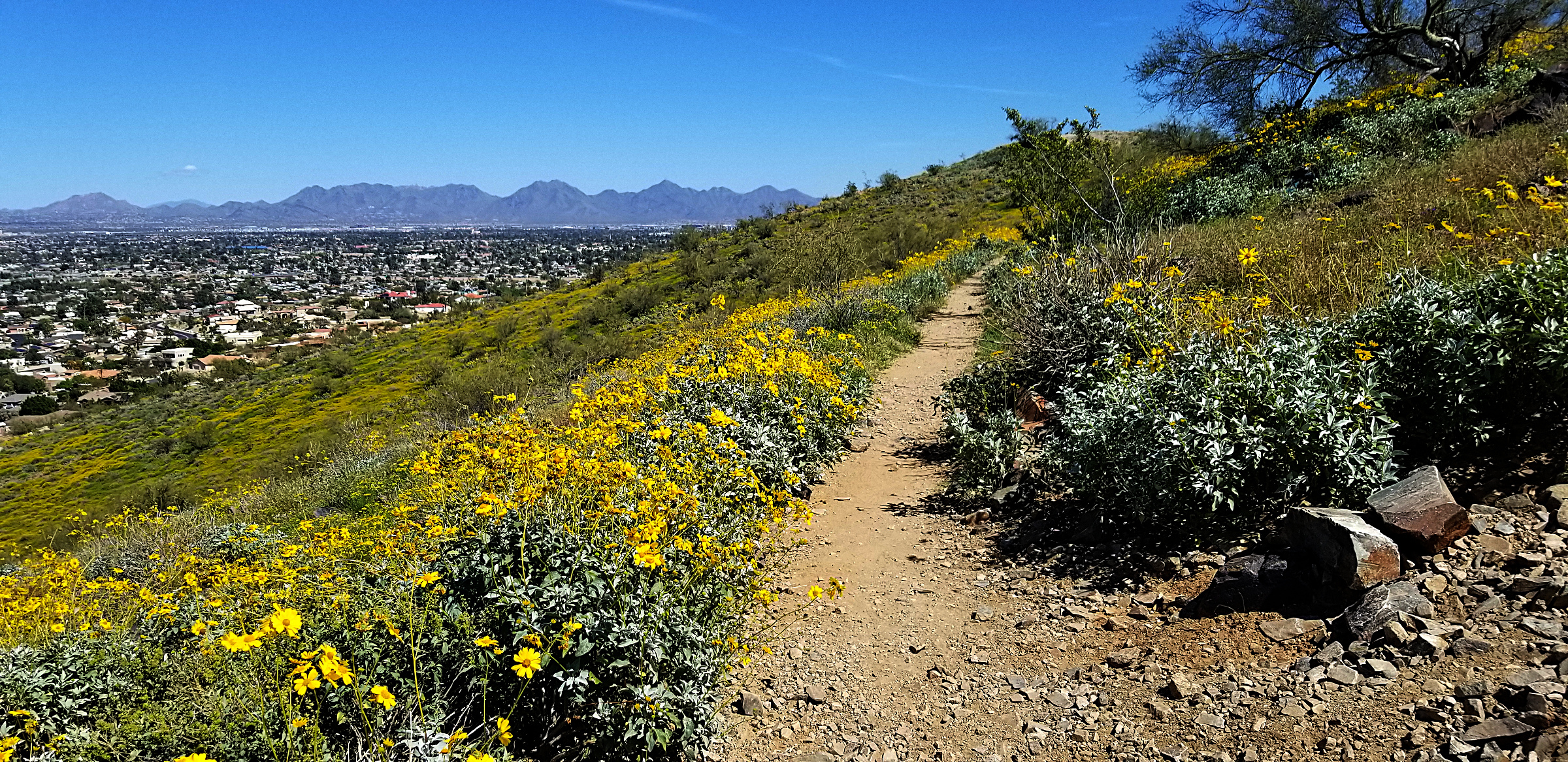 Shadow Mountain Big Loop #310, AZ | HikeArizona