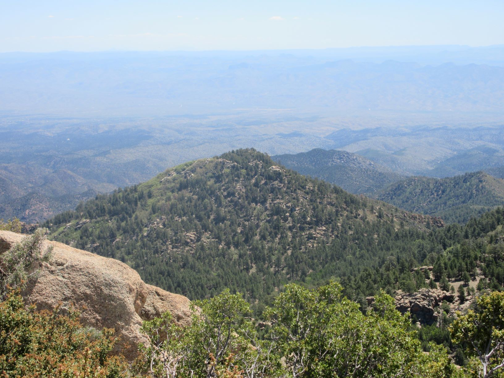 Peak 7720 - Hualapai Mountains, AZ | HikeArizona
