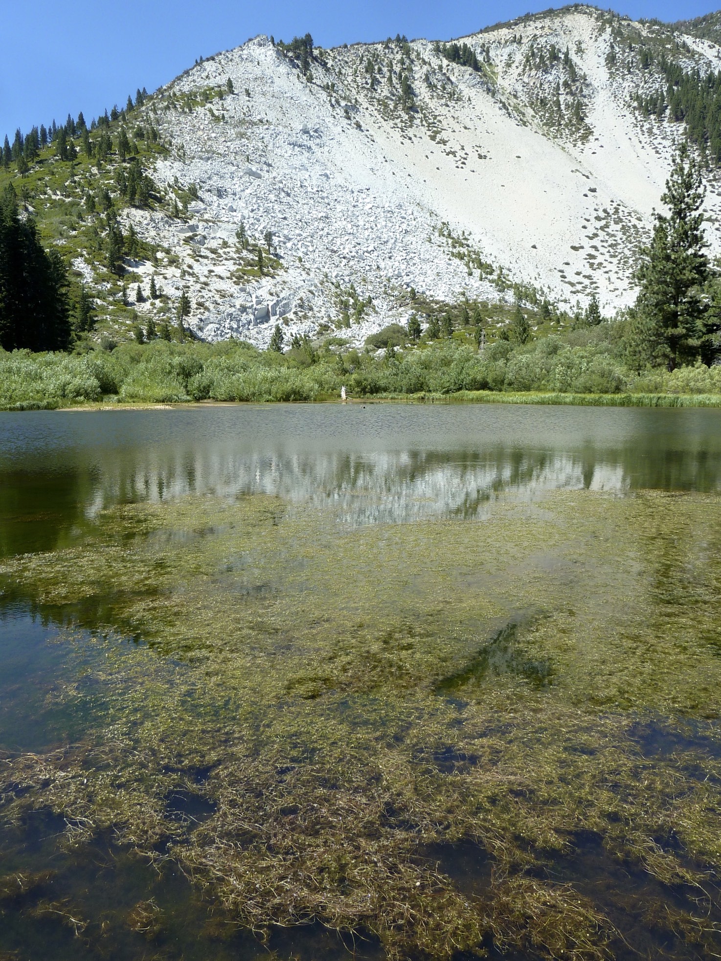 Price Lake, NV • Hike