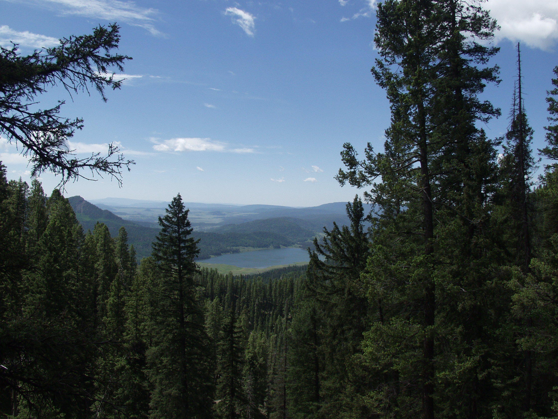 Cimarrona Trail #586, CO • Hike