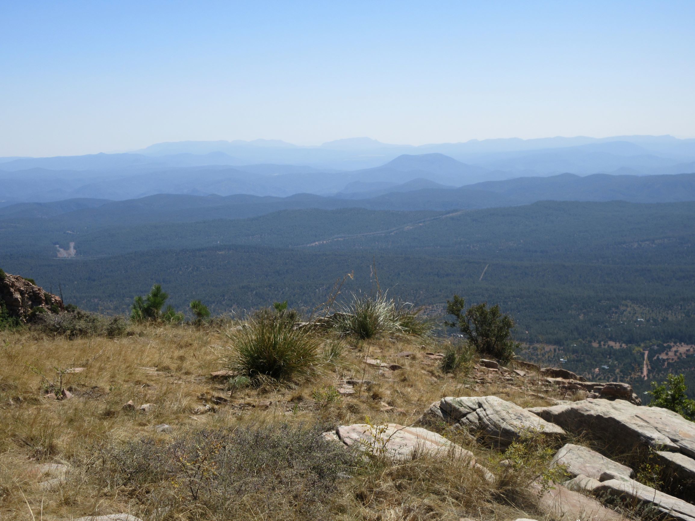 Myrtle Point 7920, AZ | HikeArizona