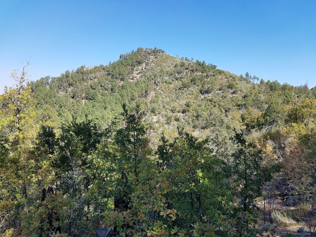 East Mountain - Pinal Mountains, AZ | HikeArizona