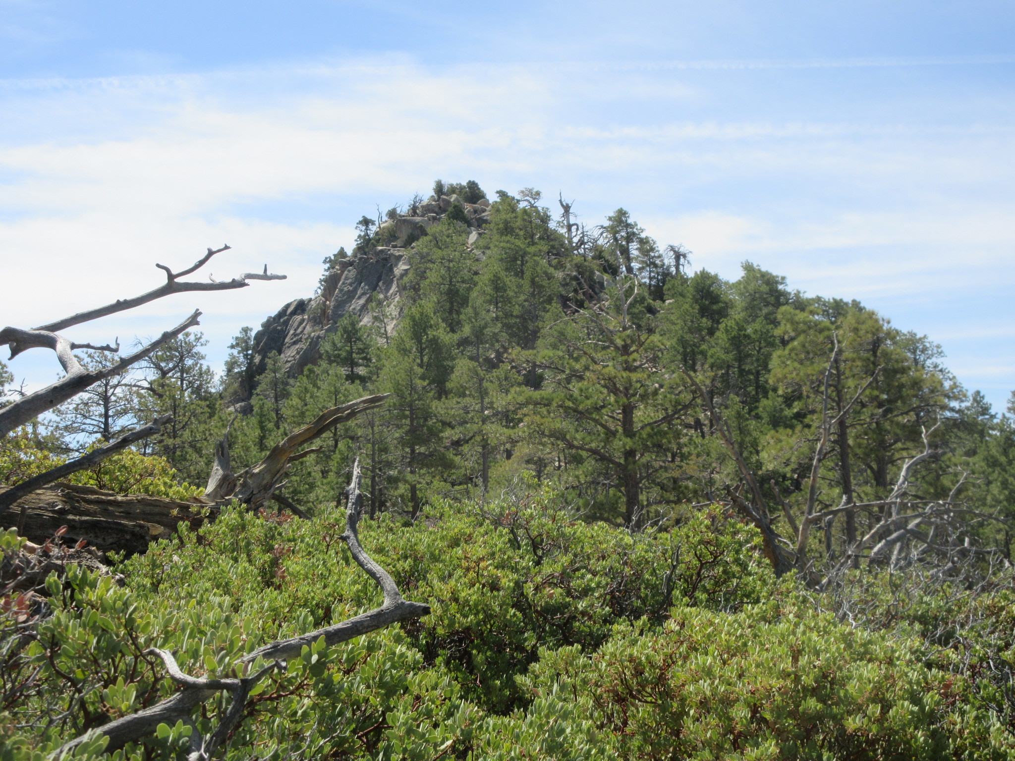 Mount Tipton - Cerbat Mountains, AZ | HikeArizona