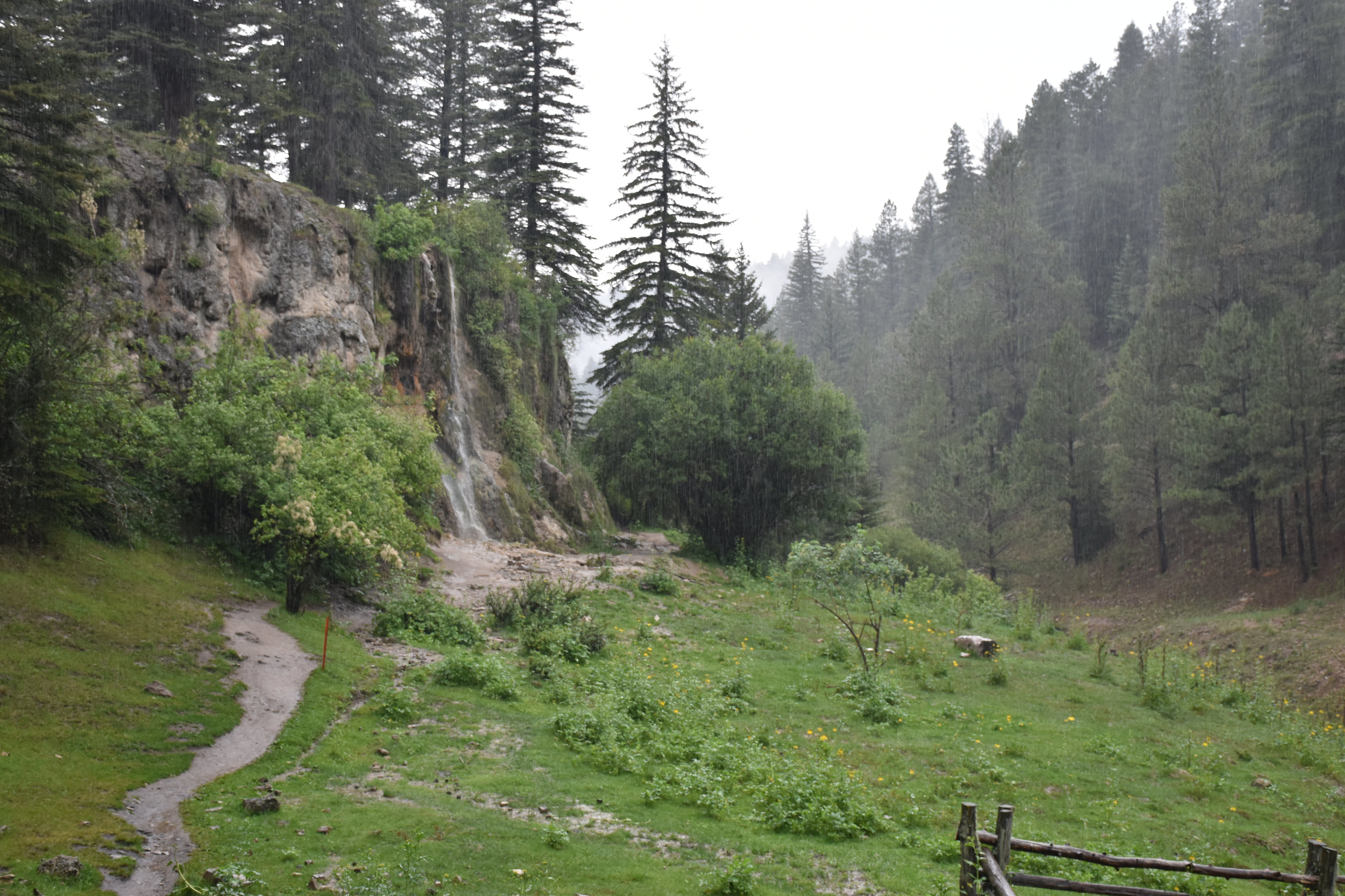 Bluff Spring Trail - Lincoln NF, NM • Hike