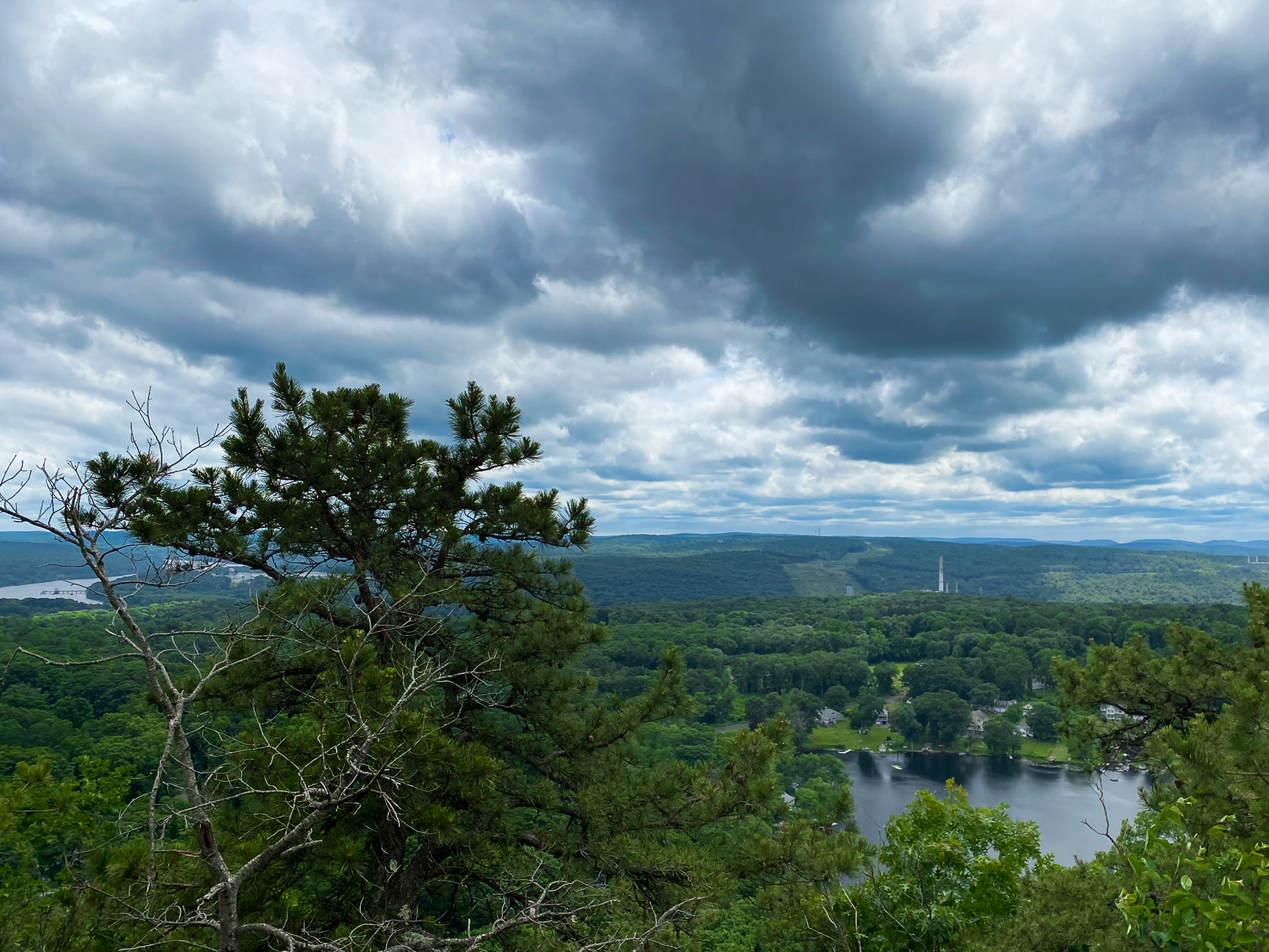 Meshomasic Forest - Shenipsit Trail - South, CT • Hike