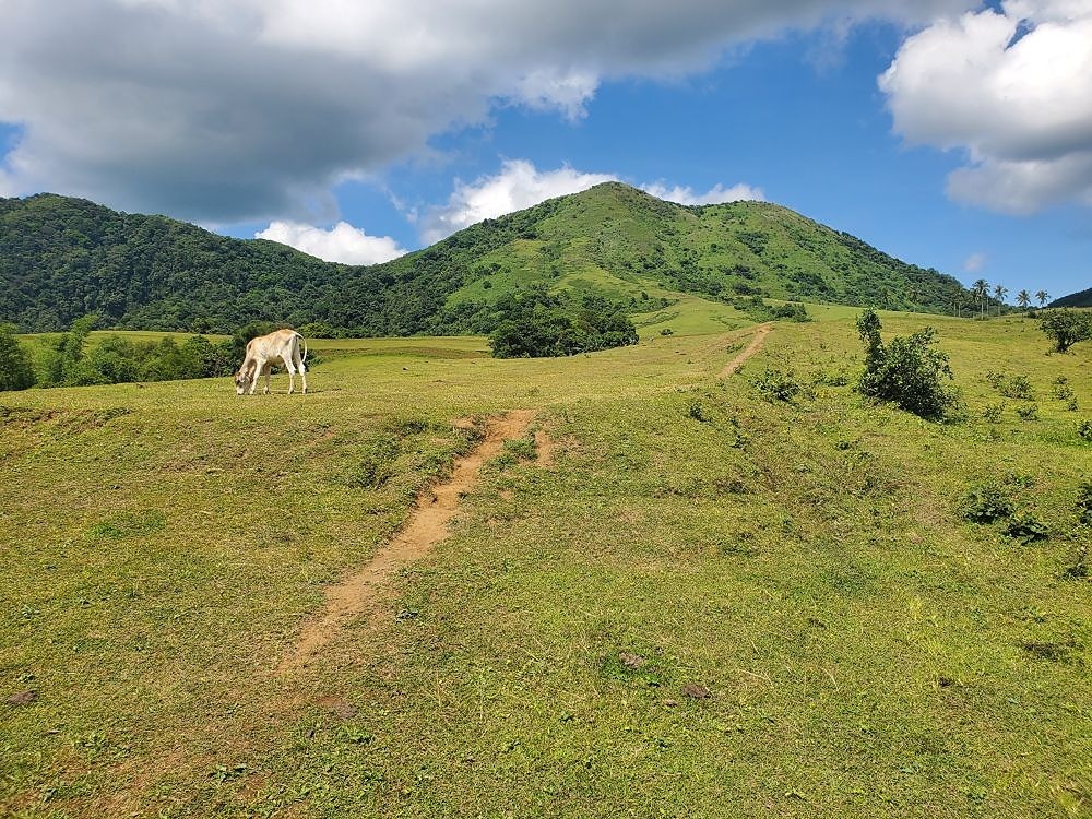 Mt Talamitam - Nasugbu Batangas Philippines, WW • Hike