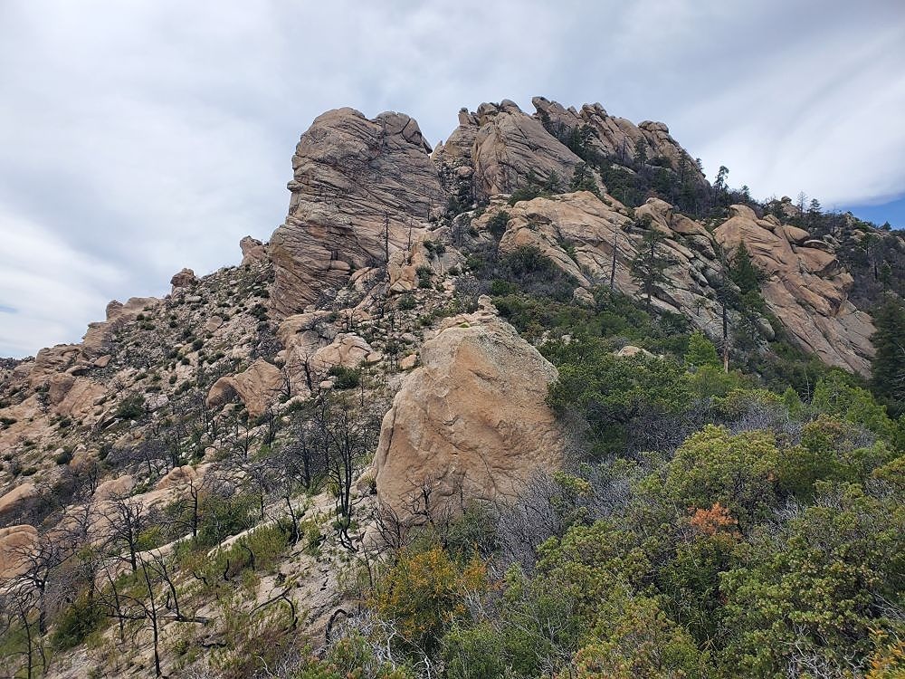 Pinnacle Ridge HP Santa Teresa Mtns, AZ | HikeArizona